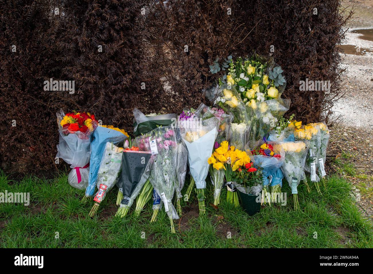 Beaconsfield, UK. 1st March, 2024. Floral tributes outside a house in ...