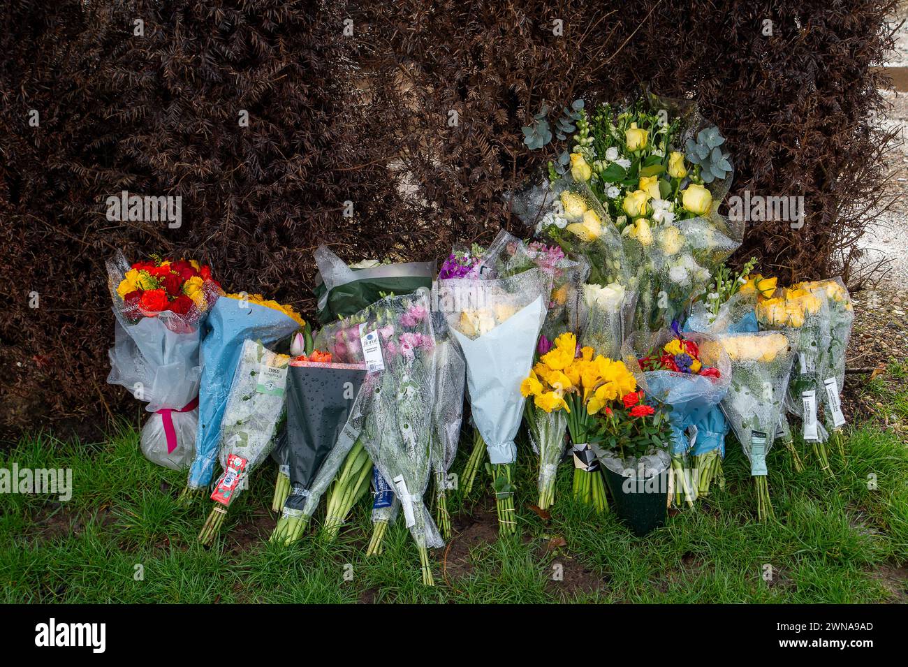 Paramjit gosal gill hi-res stock photography and images - Alamy