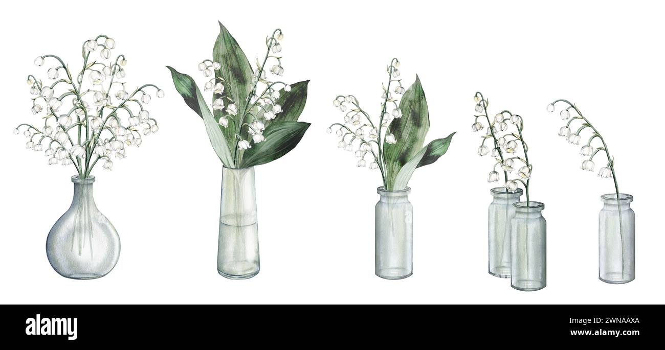 Watercolor floral elements with white tender spring lilies of the ...