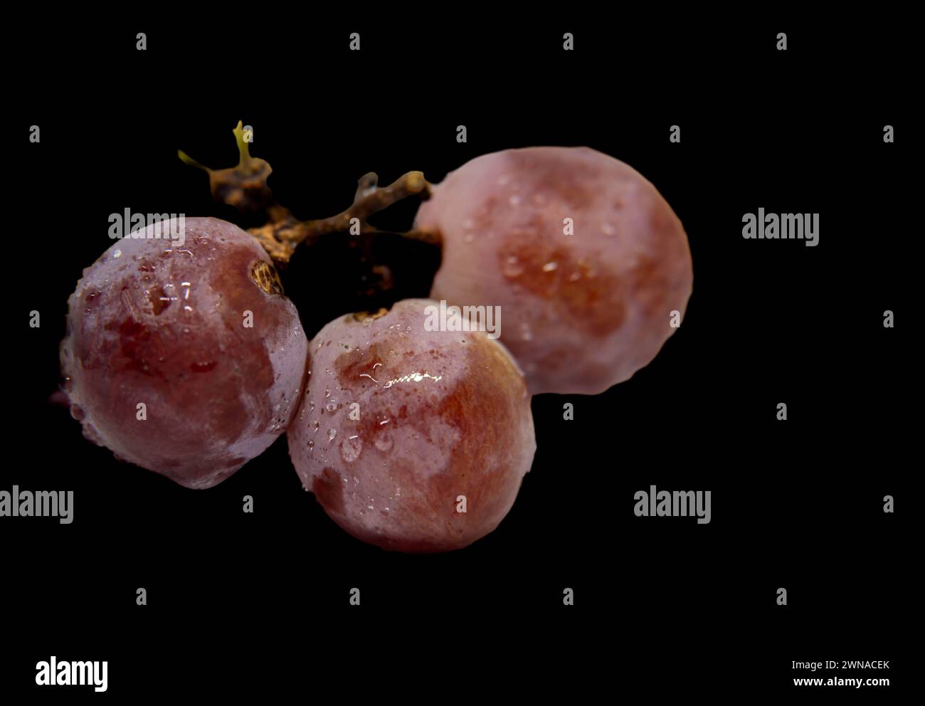 Separates easily from the seed hi-res stock photography and images - Alamy