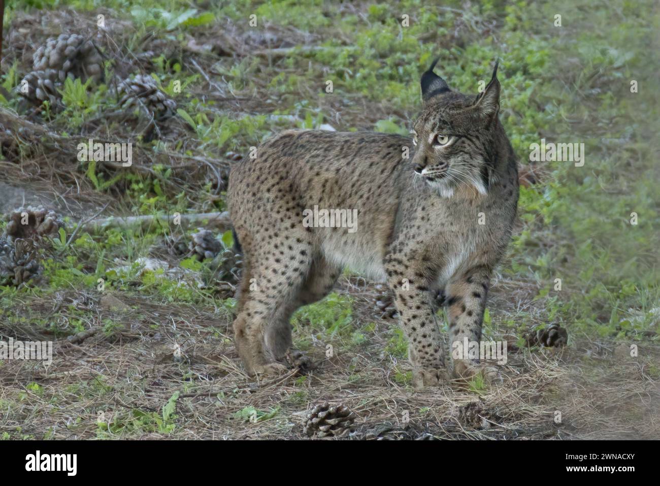 Yegus river hi-res stock photography and images - Alamy