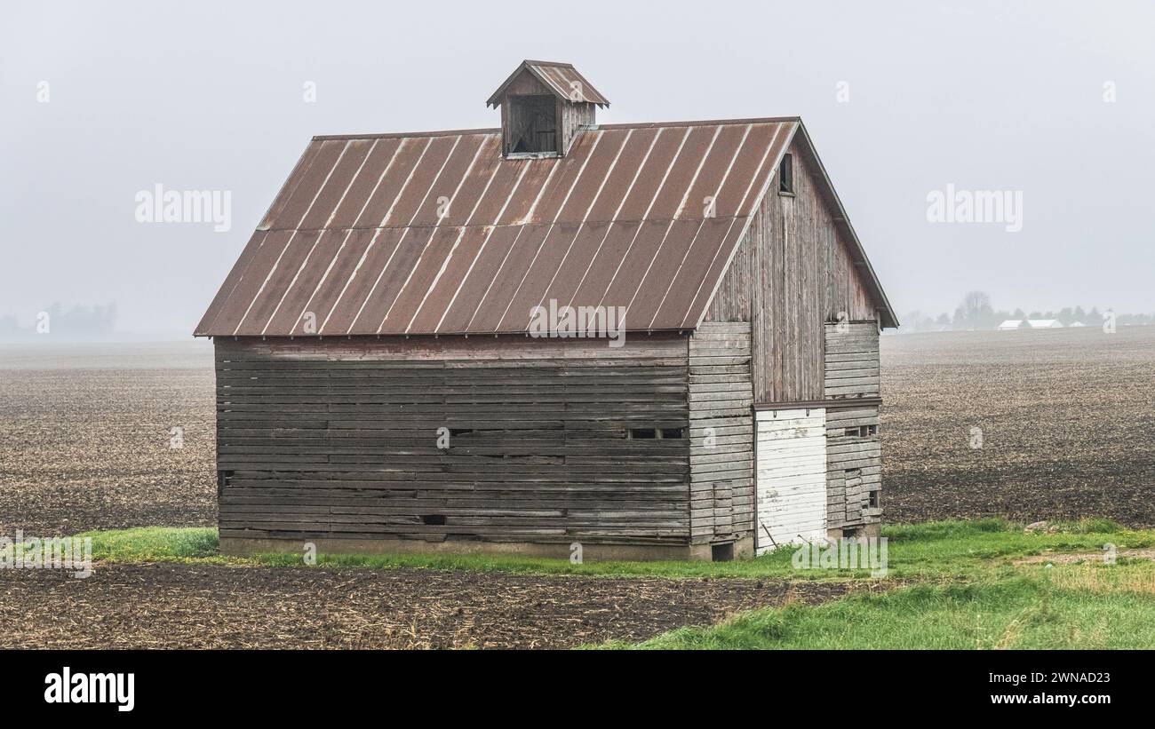 Isolated old shed in a dry grass field Stock Photo - Alamy