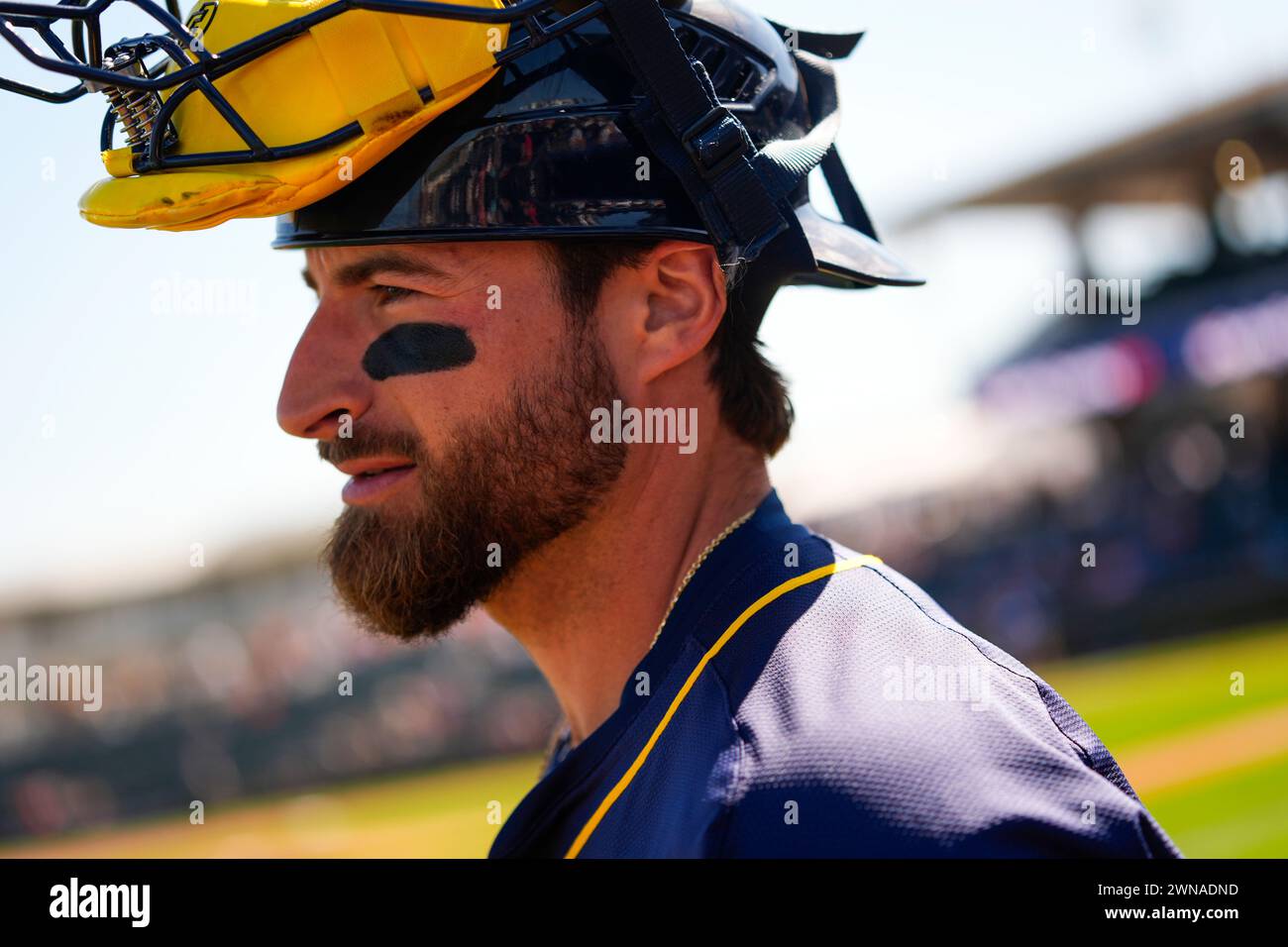 Milwaukee Brewers catcher Eric Haase walks to the field before a spring ...