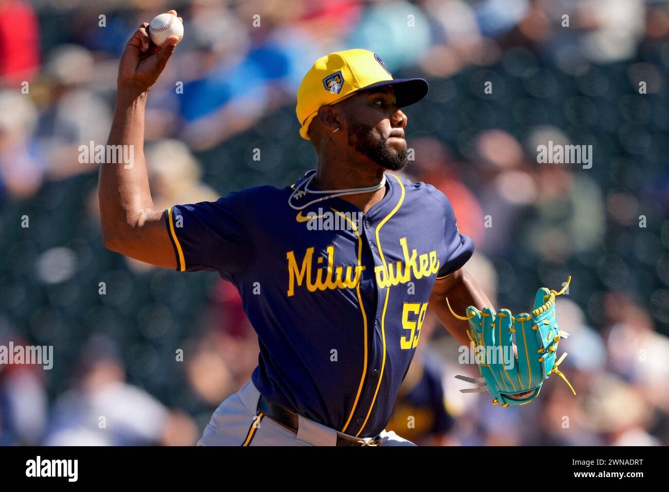 Milwaukee Brewers relief pitcher Elvis Peguero throws against the Texas ...