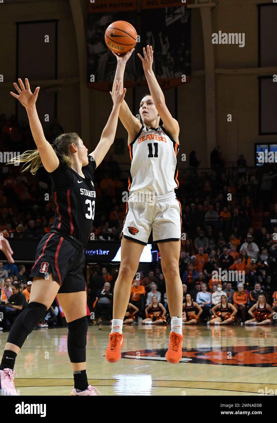 CORVALLIS, OR - FEBRUARY 29: Oregon State Beavers guard AJ Marotte (11 ...