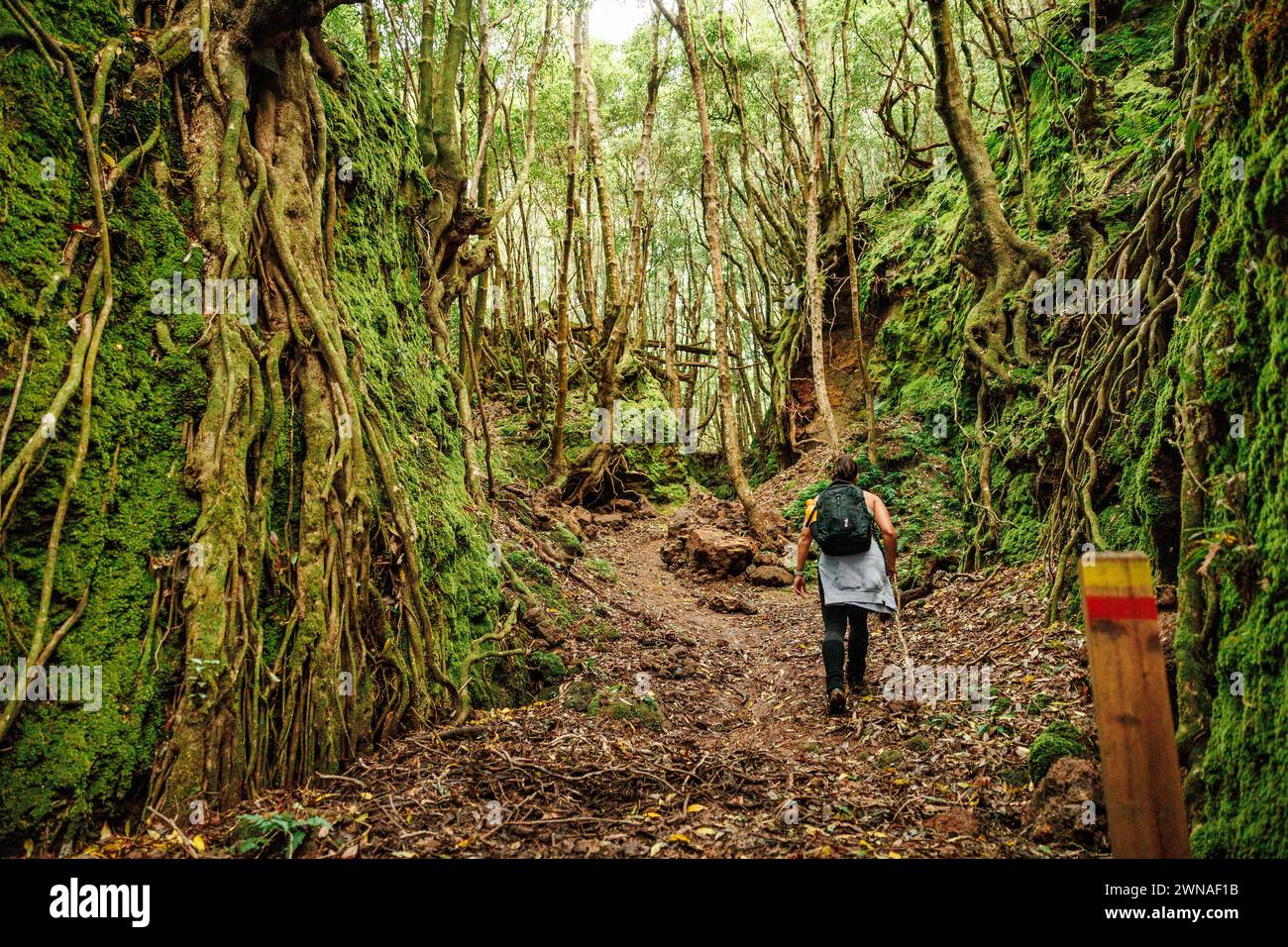Amazing nature and landscapes, at the Azores islands in the Atlantic ...