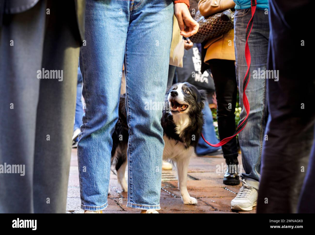 A street photography insight into the vibrant city life amidst the ...