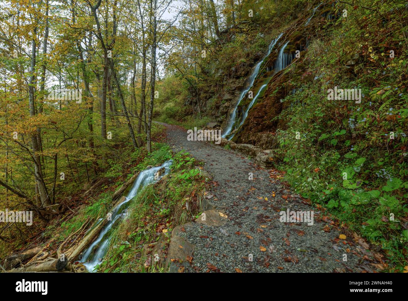 Scenic image of two sets of waterfalls Stock Photo - Alamy