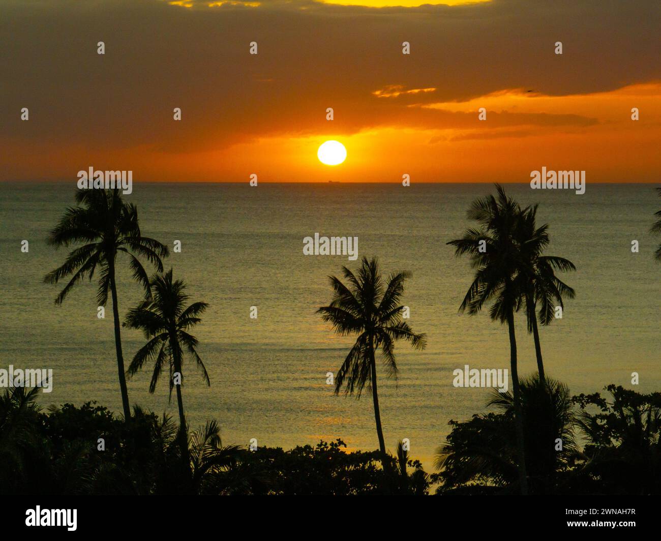 Beautiful sunset in Santa Fe. Coconut trees with red orange sunset ...