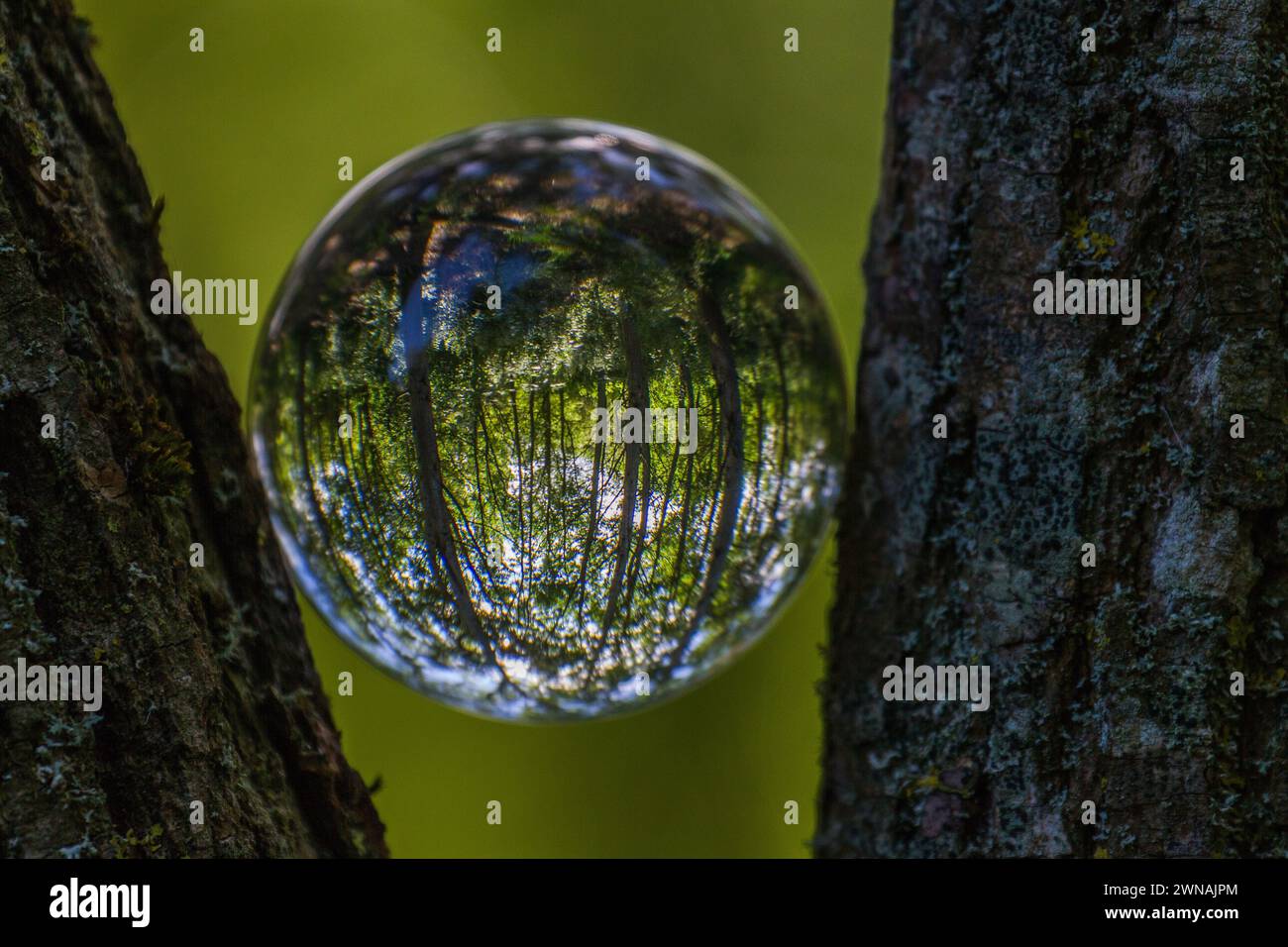 Lensball abstract, nature reflections Stock Photo - Alamy