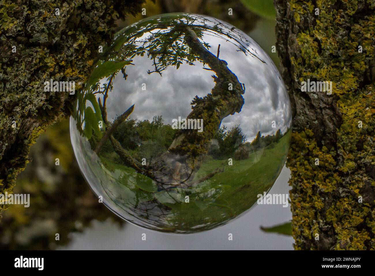 Lensball abstract, nature reflections Stock Photo - Alamy