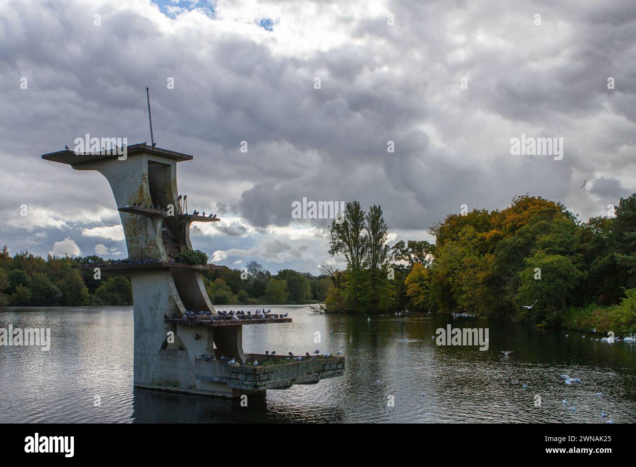 Diving platform hi-res stock photography and images - Alamy