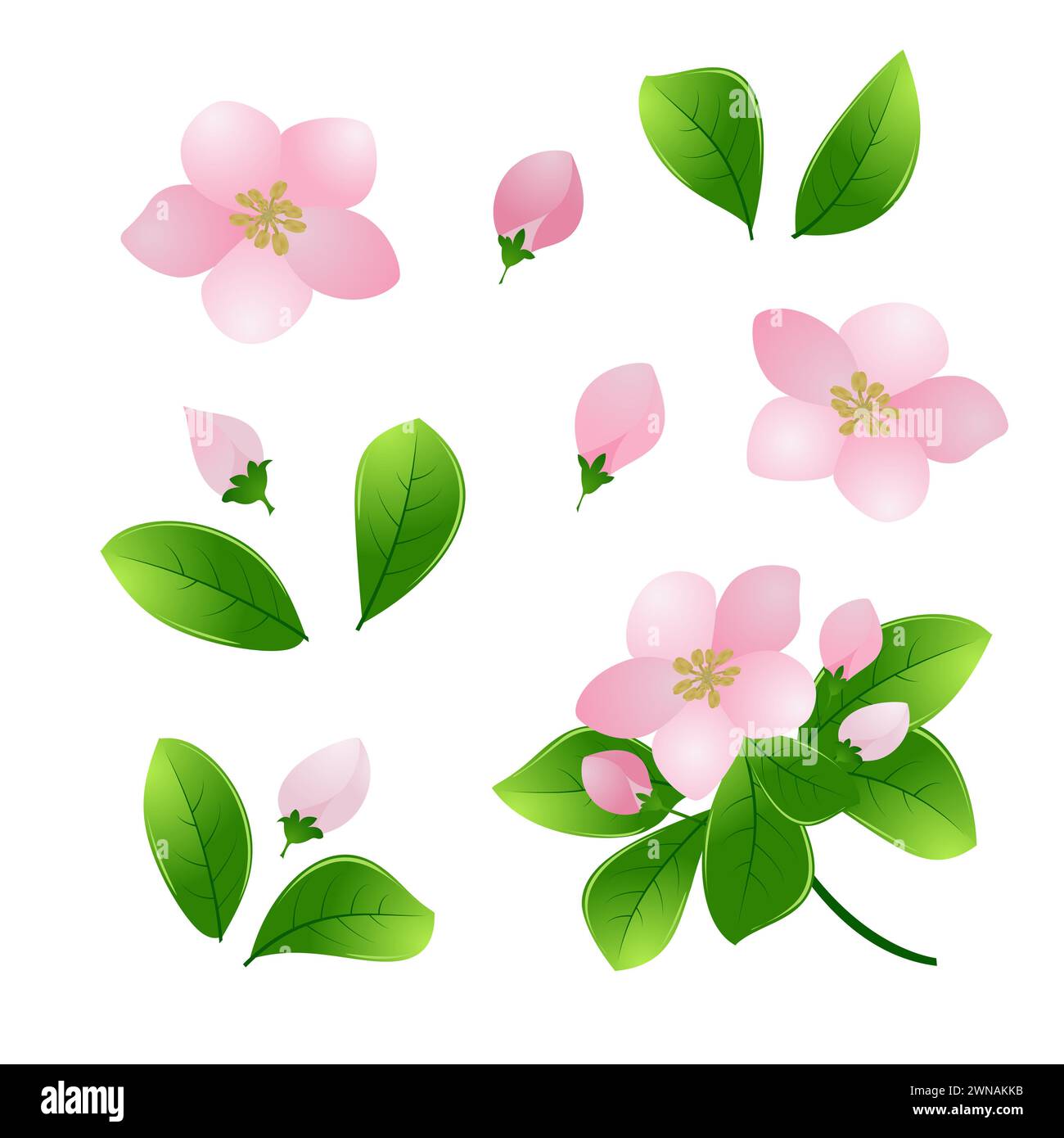 Wedding cards collection pink Cut Out Stock Images & Pictures - Alamy