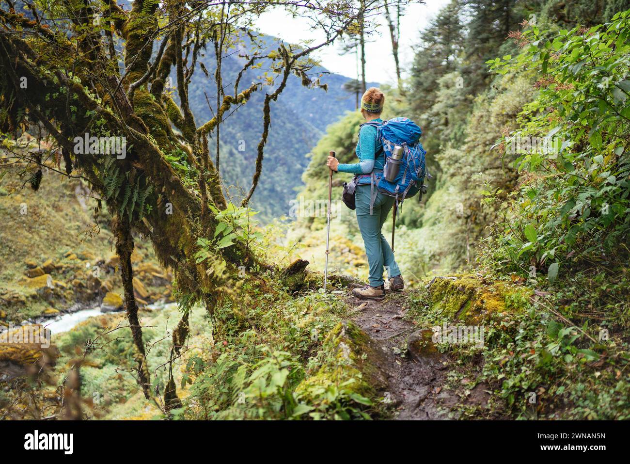 Young female with backpack and poles trekking walking Mera Peak ...
