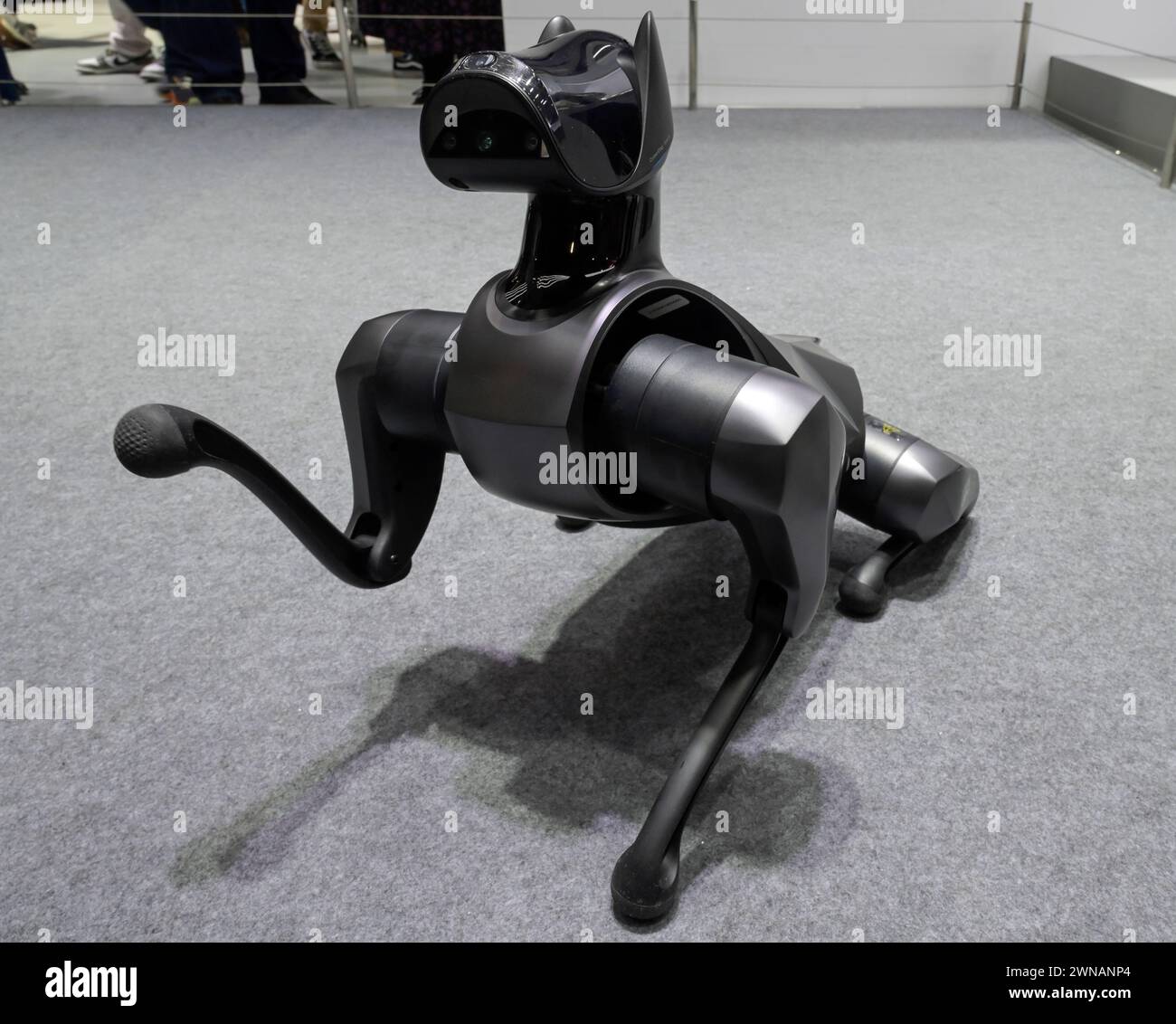 Cyberdog 2.0 Roboterhund, MWC Mobile World Congress 2024, Barcelona ...