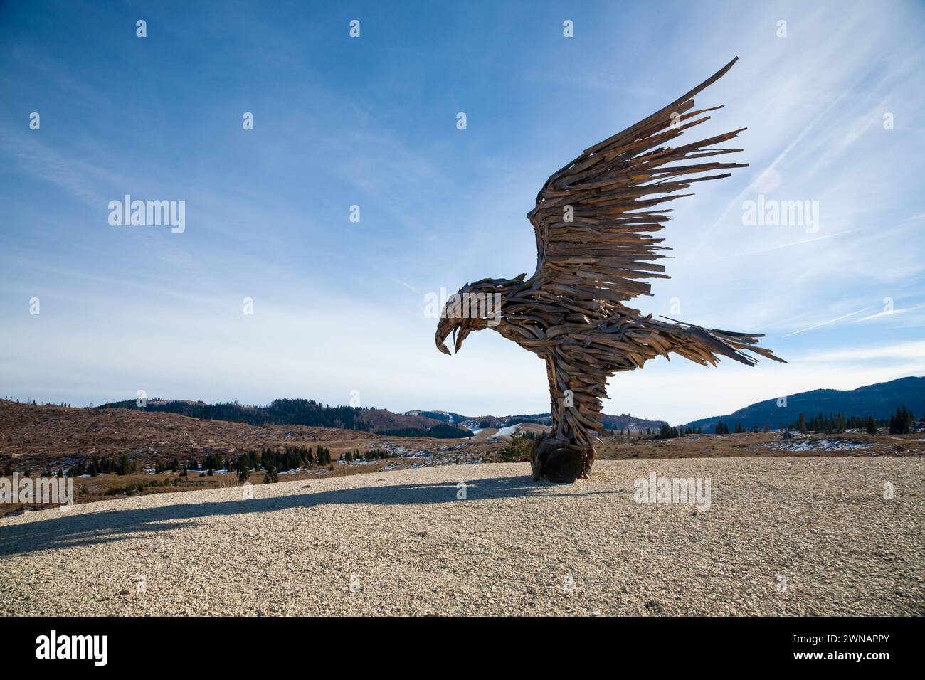 Wooden sculpture of an eagle made of tree branches. Vaia storm eagle ...