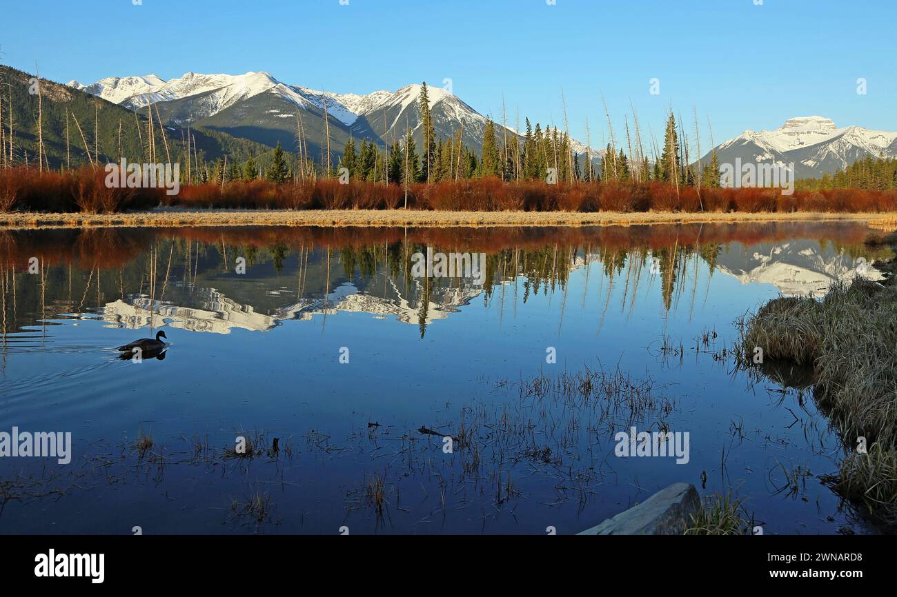 Duck lake trail hi-res stock photography and images - Alamy