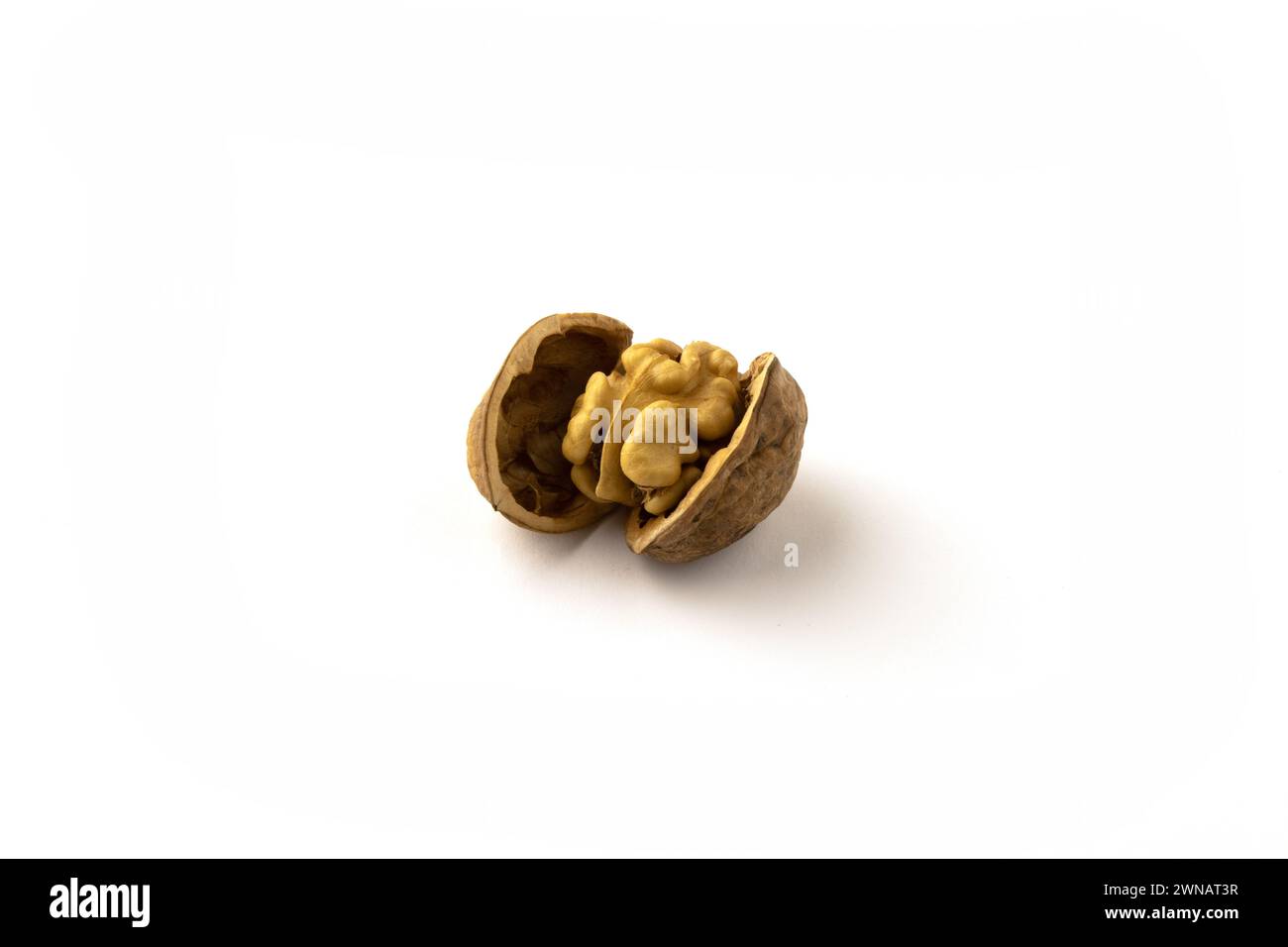Whole walnut kernel with shell on a white background Stock Photo - Alamy