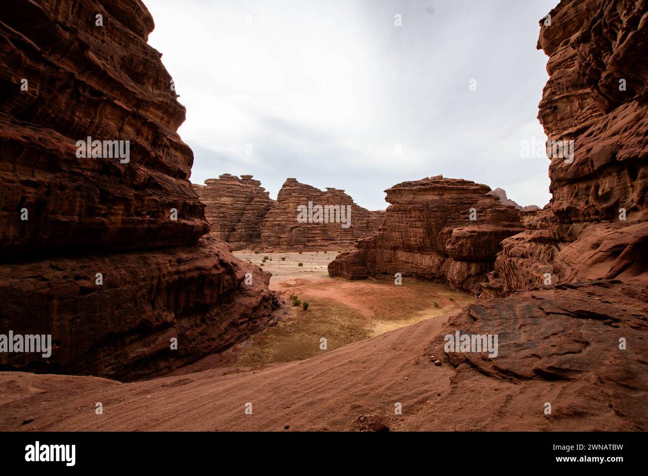 Neom saudi hi-res stock photography and images - Alamy