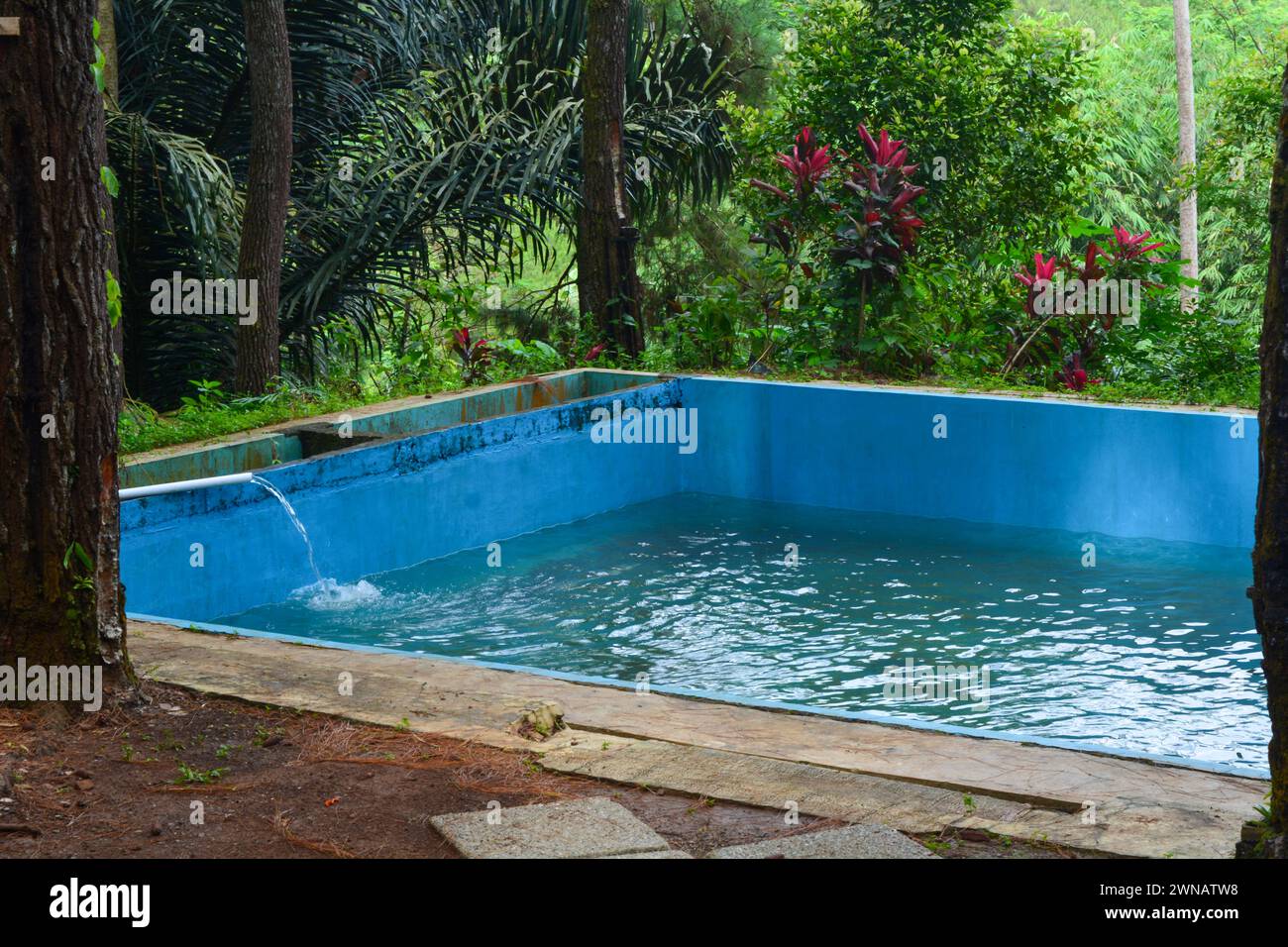 close up of a water reservoir originating from a spring in Wonosobo ...
