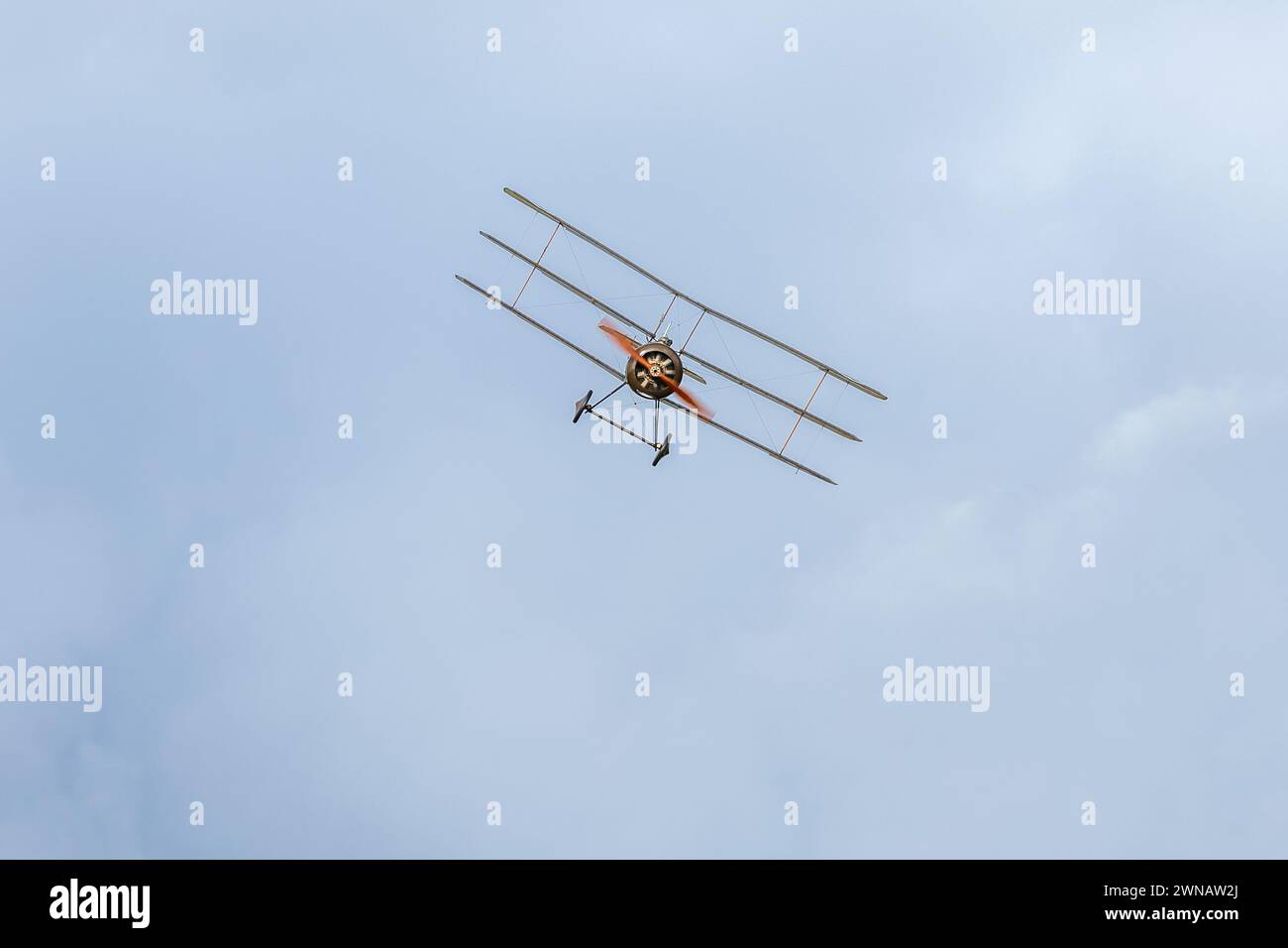 Sopwith Triplane ‘N6290 DIXIE II' airborne at the Race Day airshow held ...