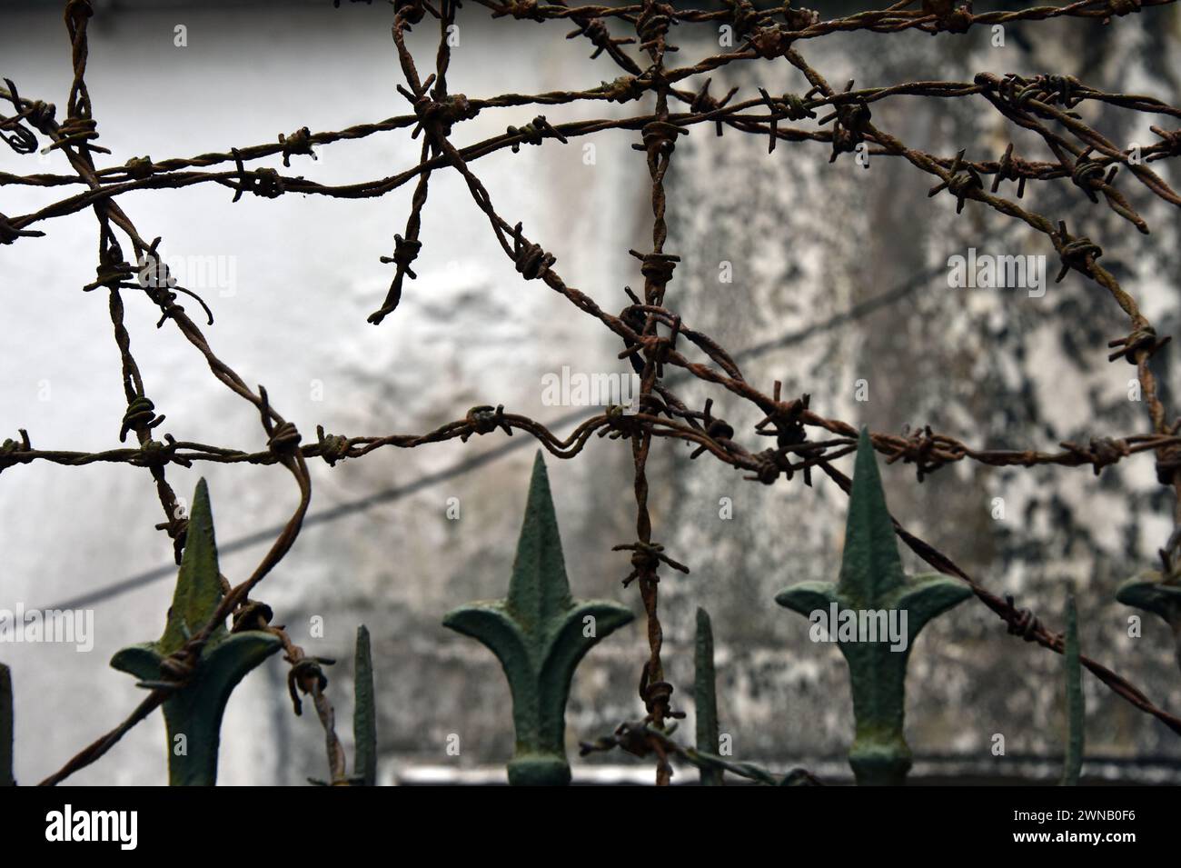 Fences, barbed wire, cold metal spikes Stock Photo - Alamy