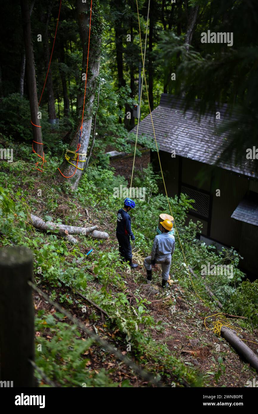 Forestry workers in the forest next to UNESCO World Heritage Gassho ...