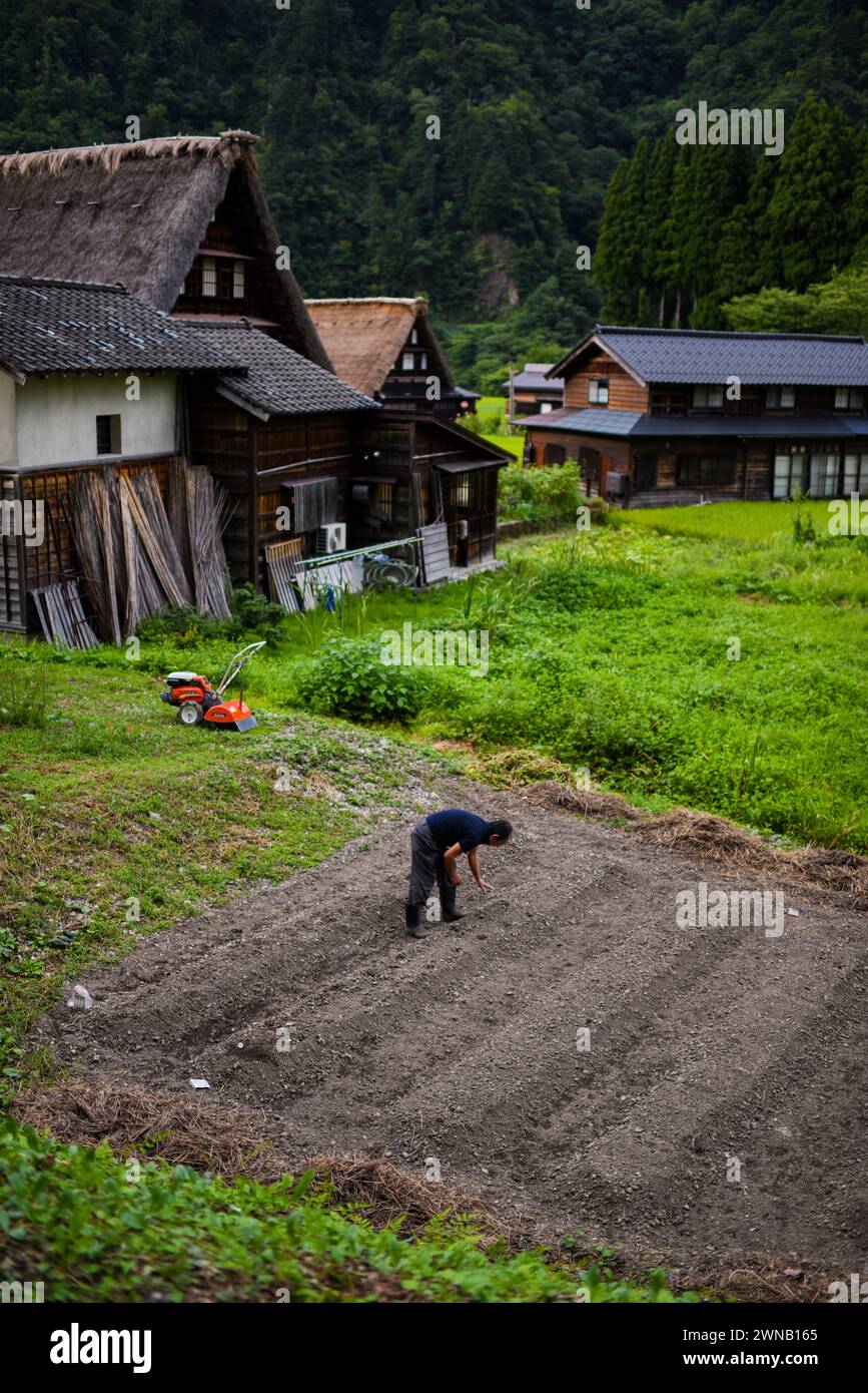 Farmer working his field in World Heritage Suganuma Gassho-zukuri ...