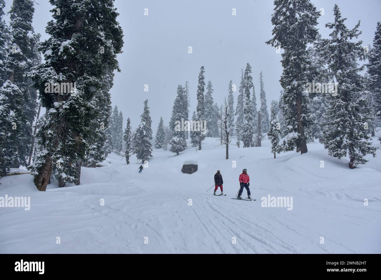 Skiers are seen in action during heavy snowfall in Gulmarg, a world ...