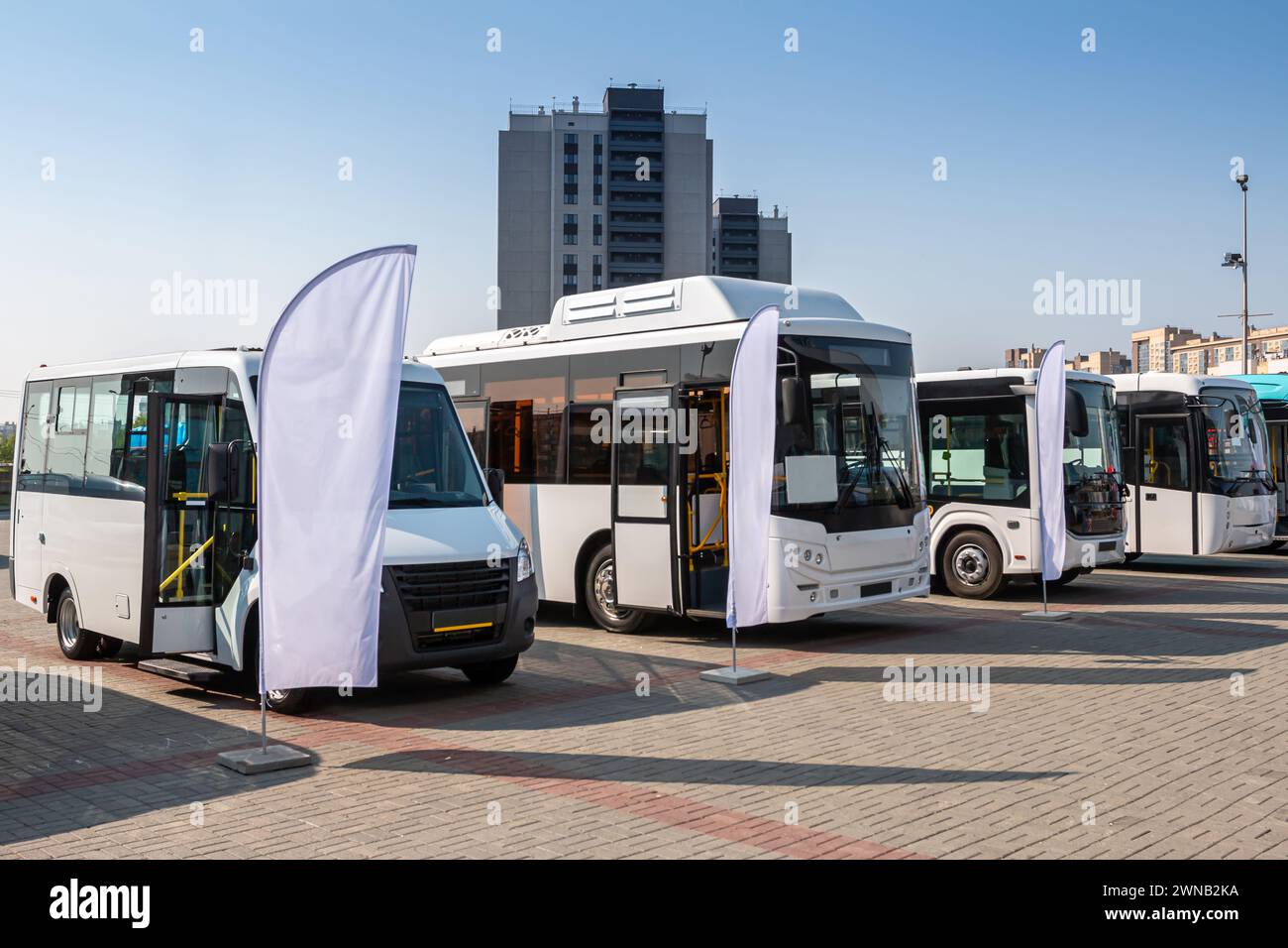 Modern white city buses at the bus station Stock Photo - Alamy
