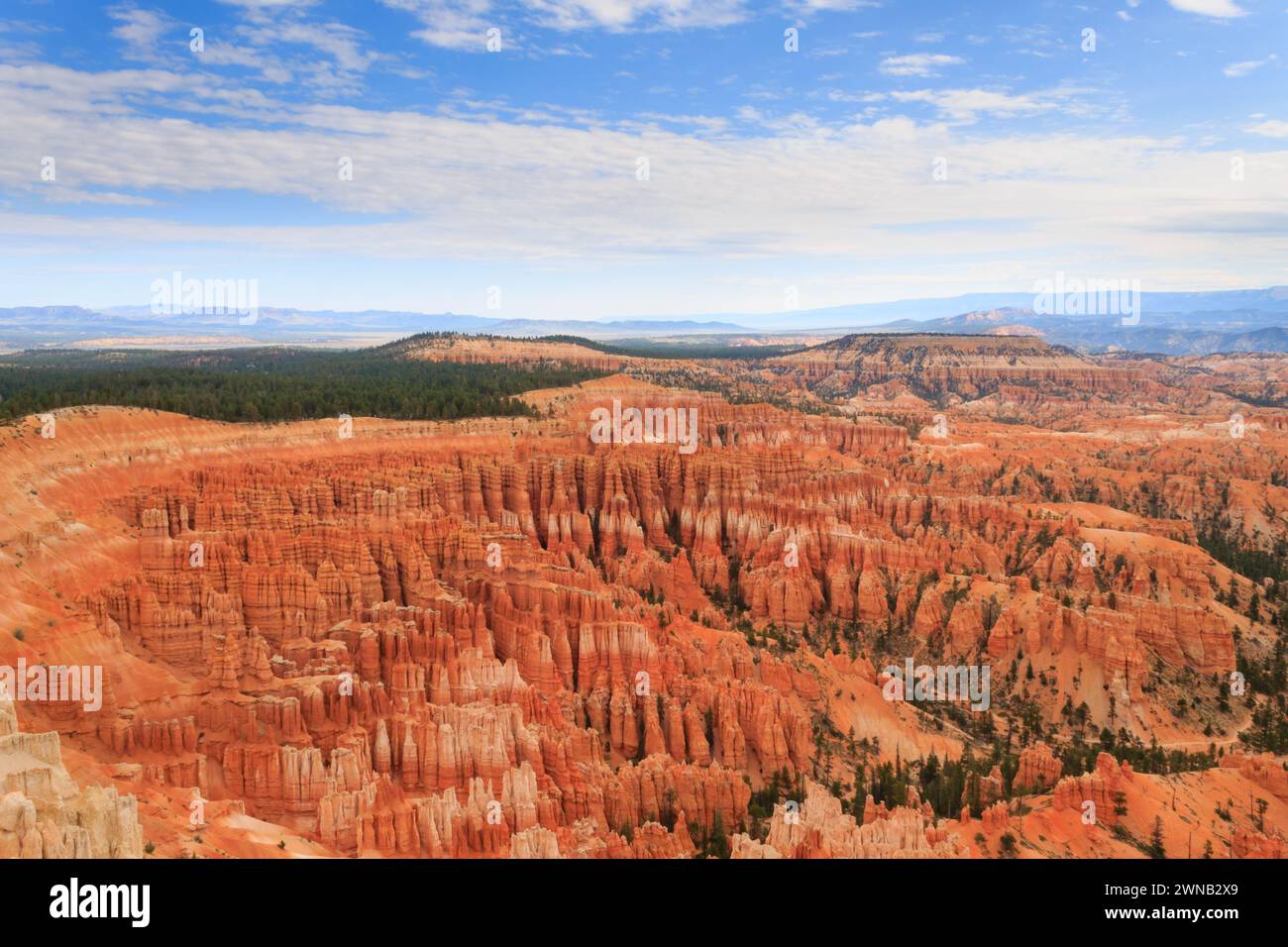 A canyon with steep cliffs and evergreen trees Stock Photo - Alamy