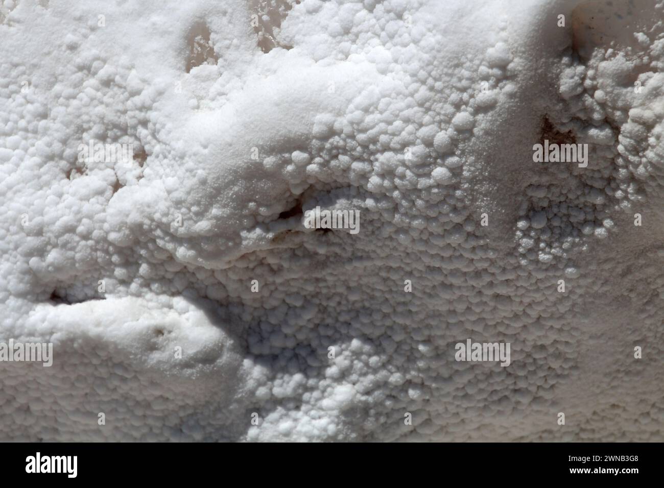 Close-up of sea salt in the salt flats of the Ojo de Liebre Lagoon ...