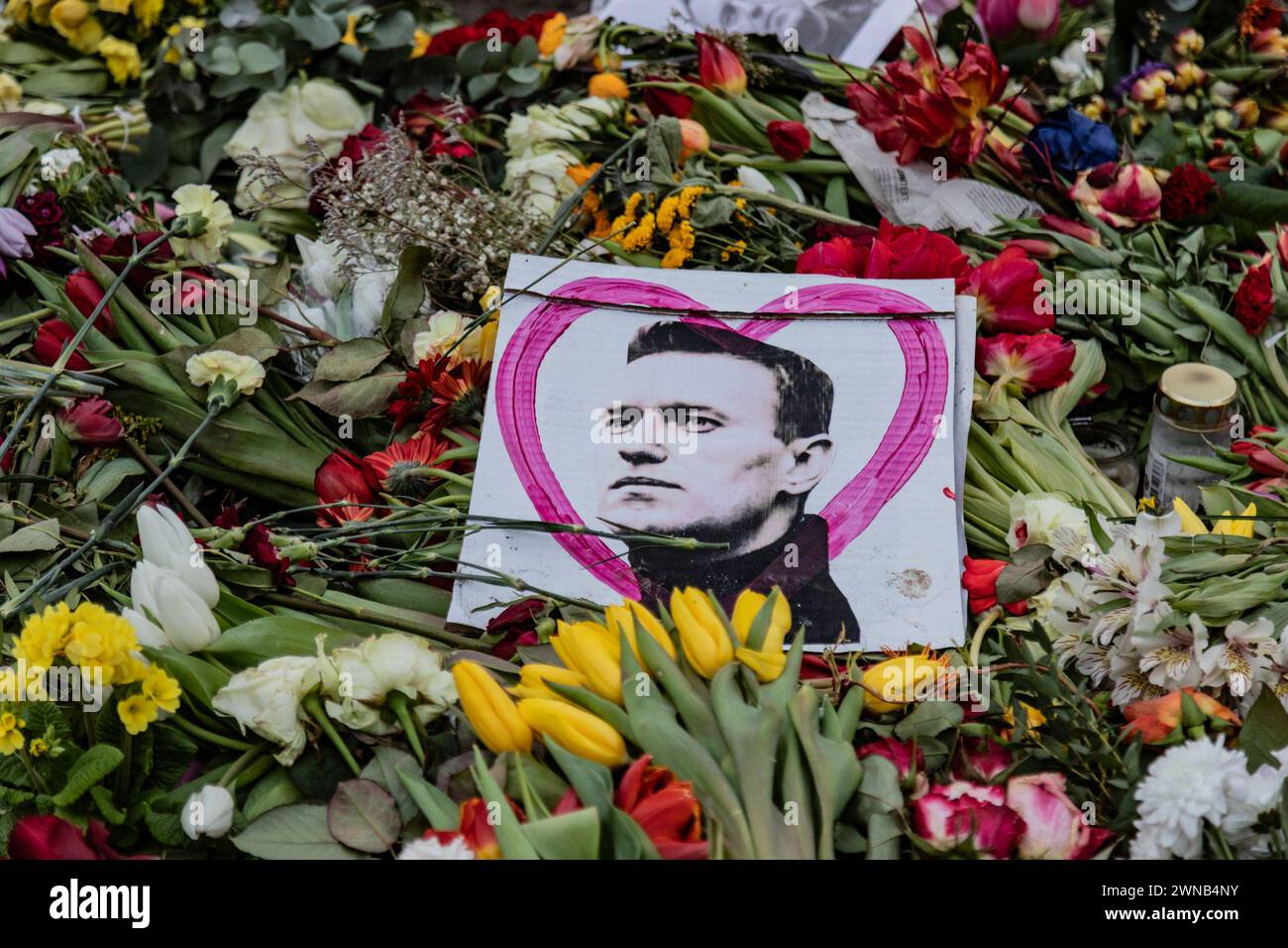 A portrait of Russian opposition leader Alexey Navalny seen around ...