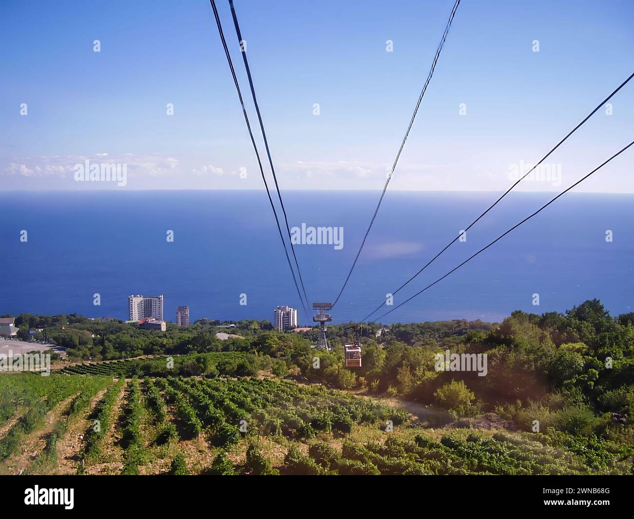 Breathtaking mountain views: Cable car ascends a lush hillside, with a ...