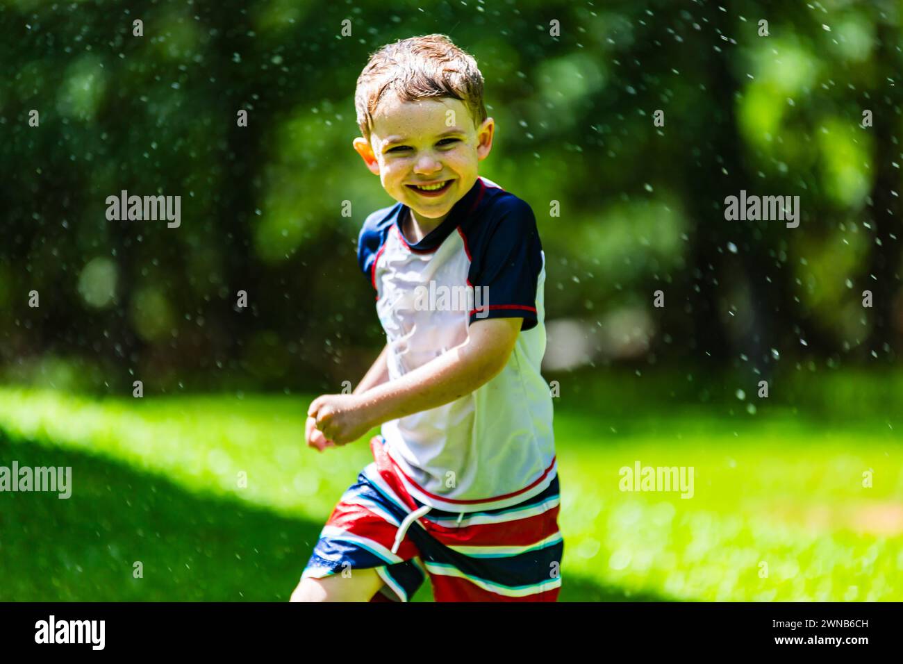 Excited young boy running through the sprinkler Stock Photo - Alamy