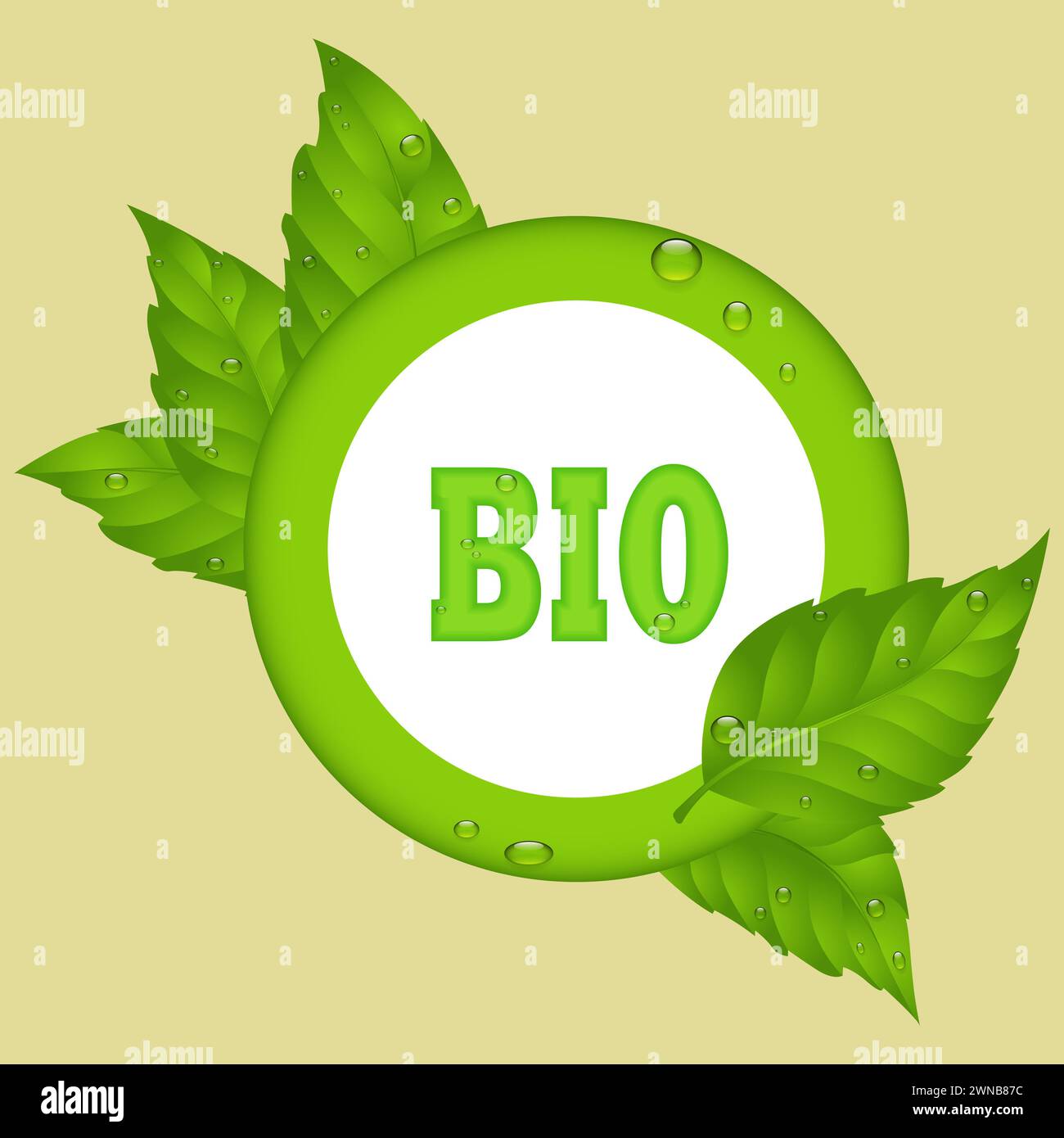 Organic Food, 100% Fresh, Bio, Health, Eco, Natural banners. Element ...