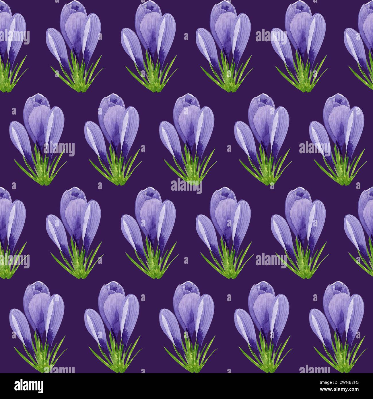 Watercolor spring crocuses seamless pattern, spring flower digital ...