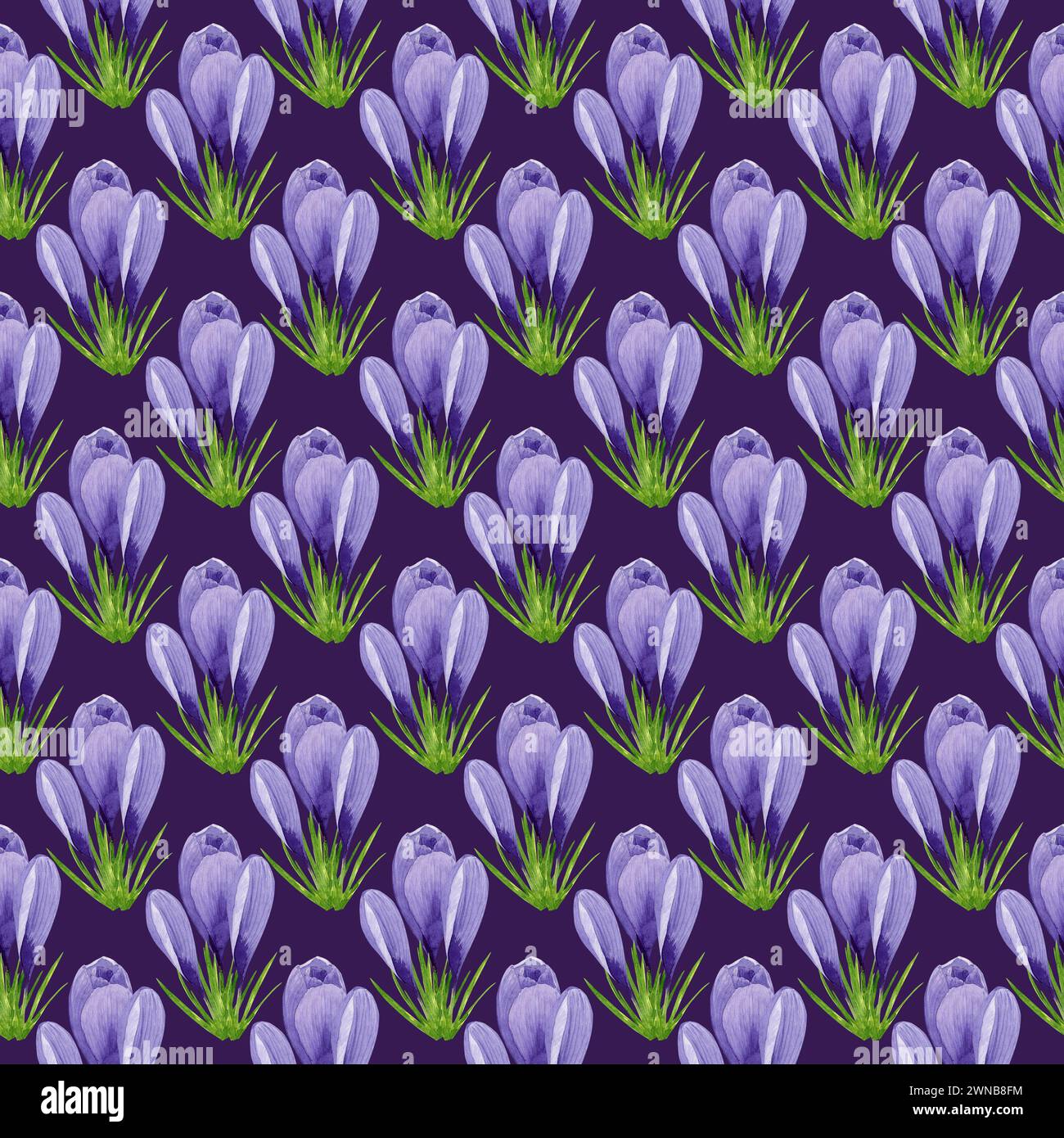 Watercolor spring crocuses seamless pattern, spring flower digital ...