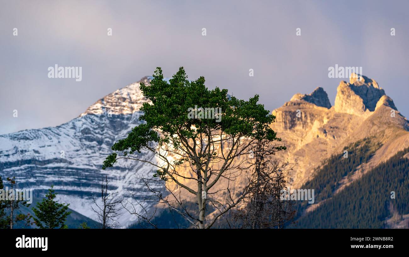 Sunset sky over Mount Rundle in Banff National Park during summer time ...