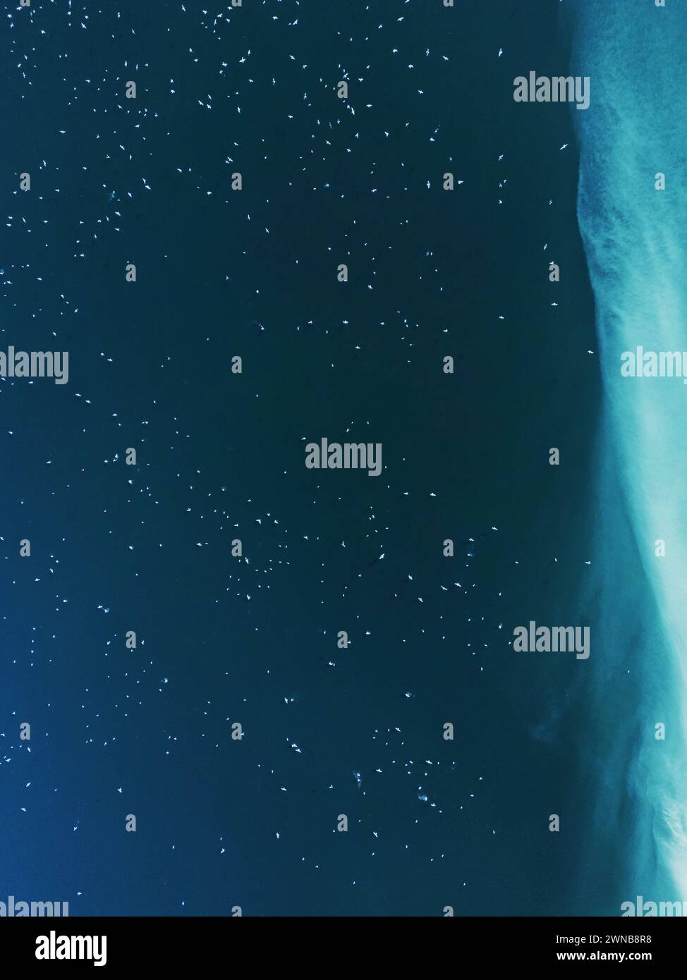 deep blue sea waves and seagulls. photo shoot from the top. Aerial ...