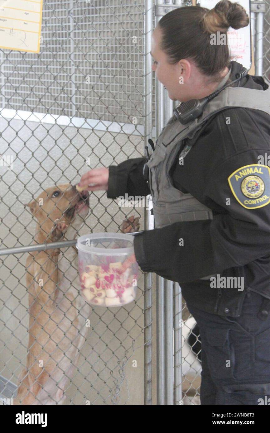Michigan City Animal Control Officer Michelle Plankey feeds a treat to ...