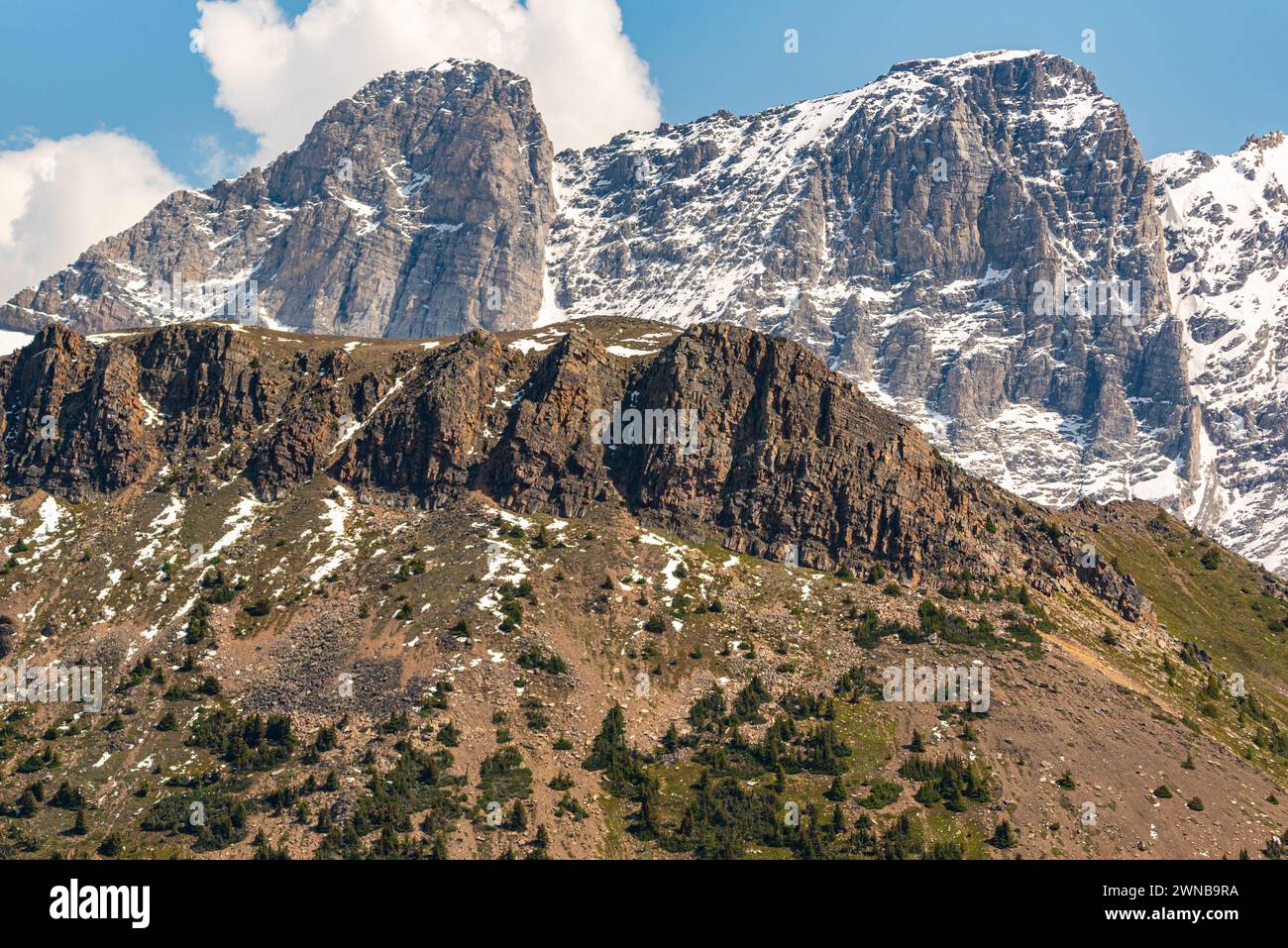 Wilderness views in Banff National Park during summer time with snow ...