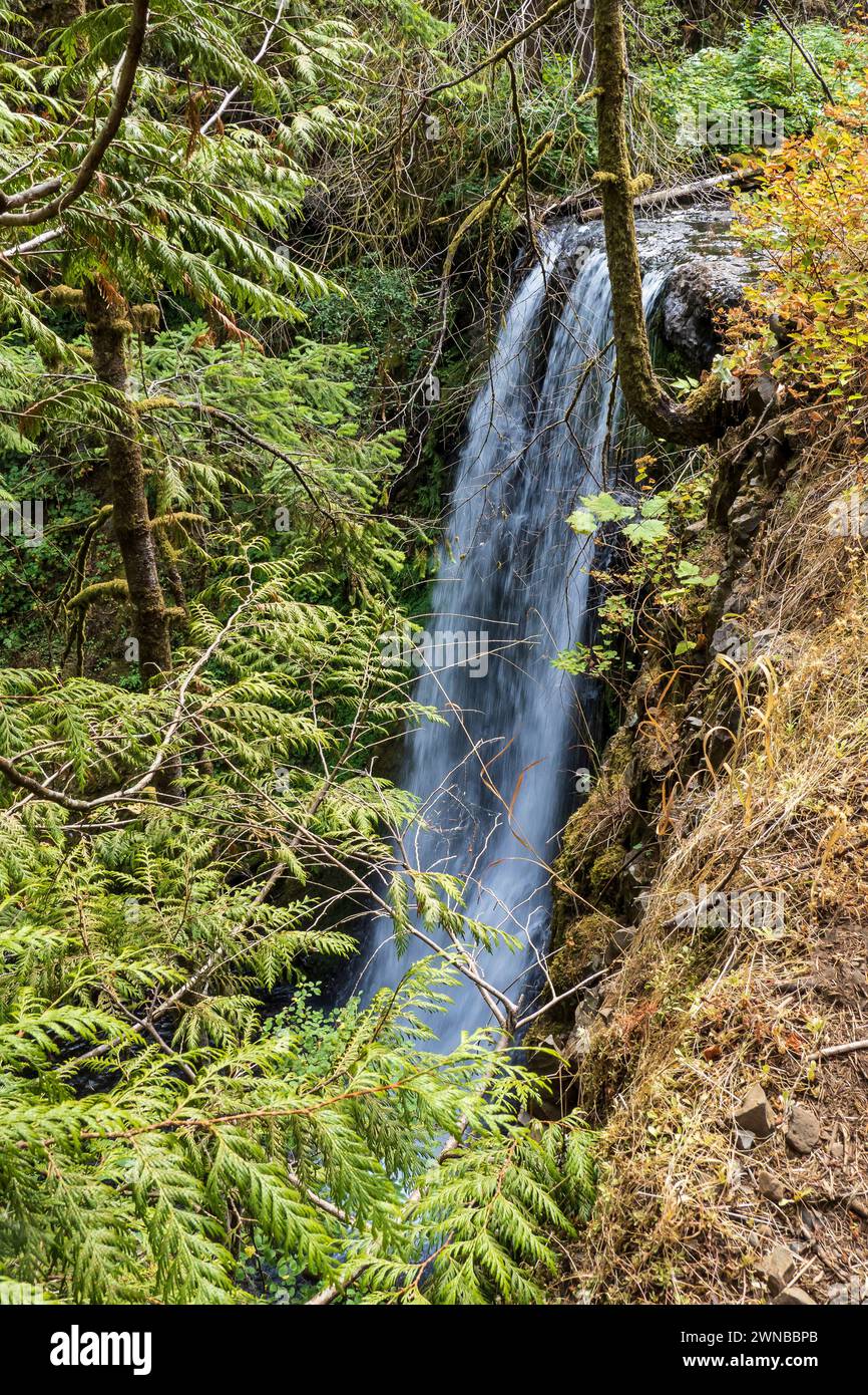 Columbia river gorge national scenic area oregon hi-res stock ...
