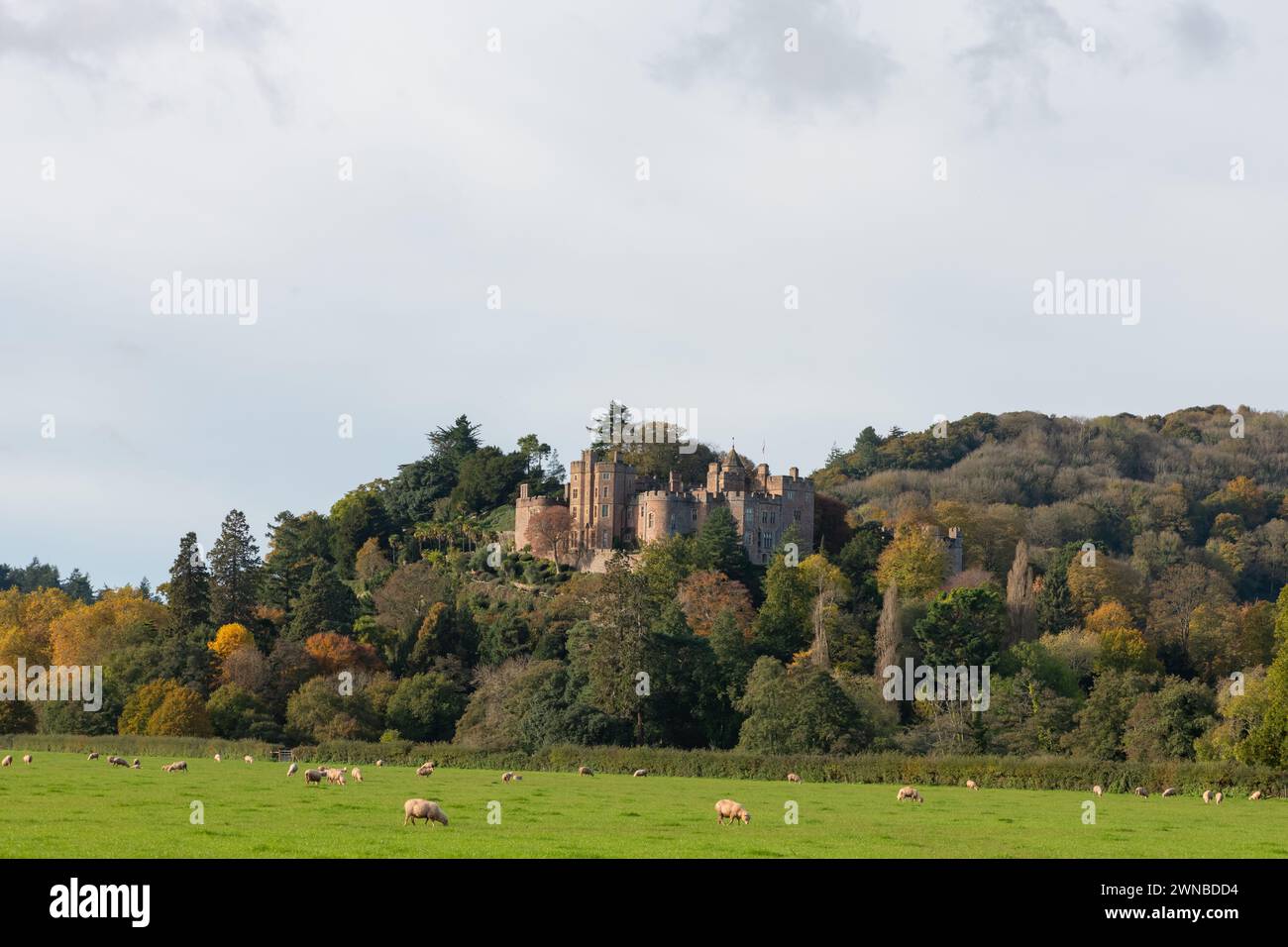 Landscape photo of the autumn colours at Dunster castle in Somerset ...