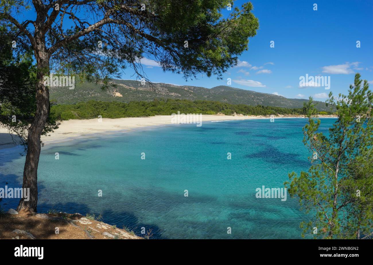 A timeless landscape frames Palma Nova beach, untouched with azure ...