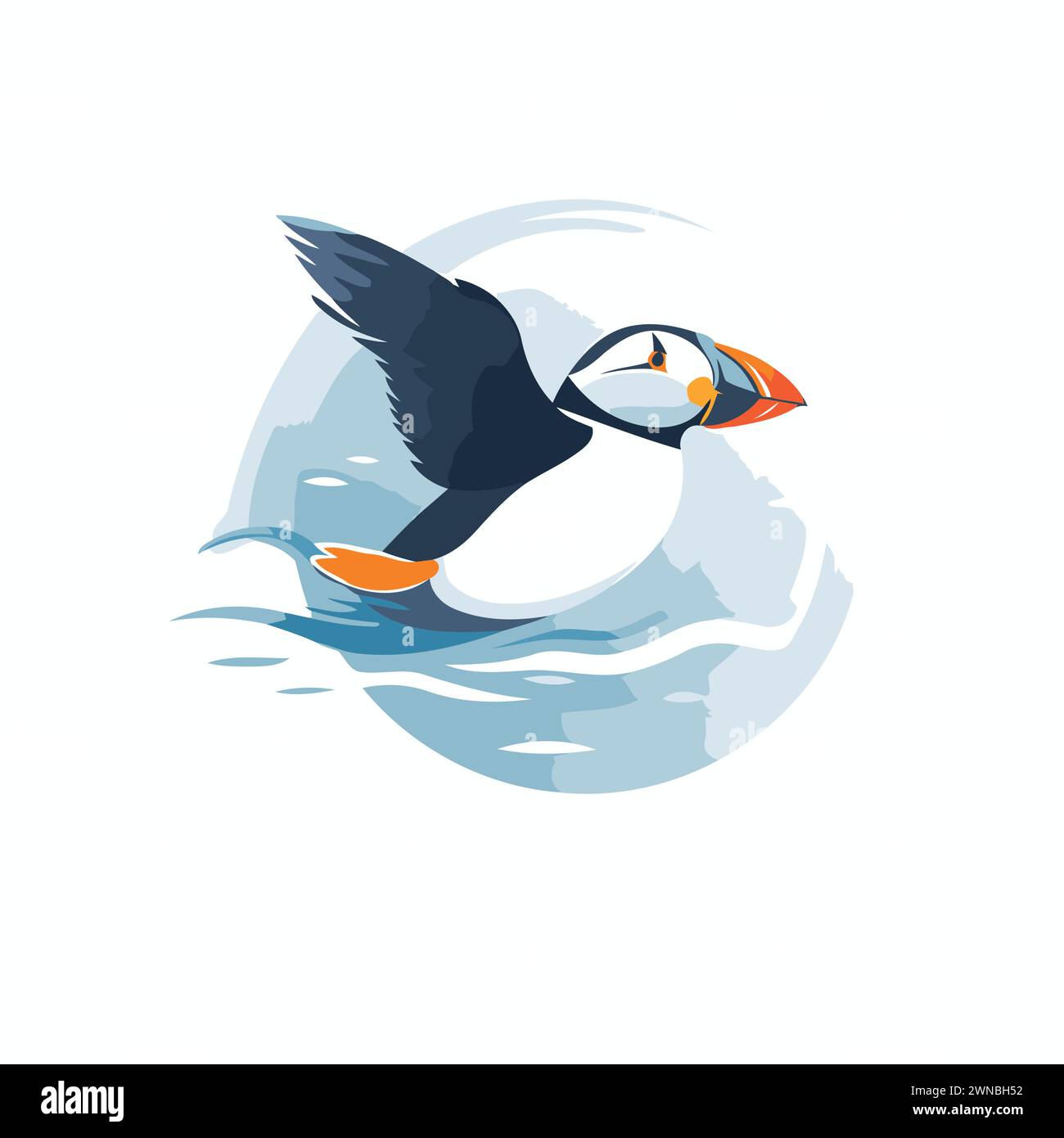 Puffin vector illustration. Isolated on a white background Stock Vector ...