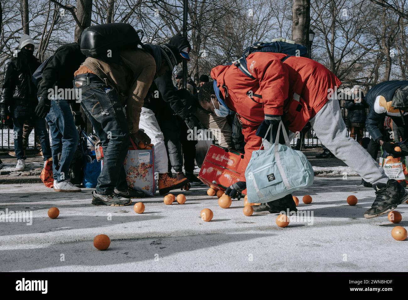 Donated oranges spill on the ground during a food distribution for ...