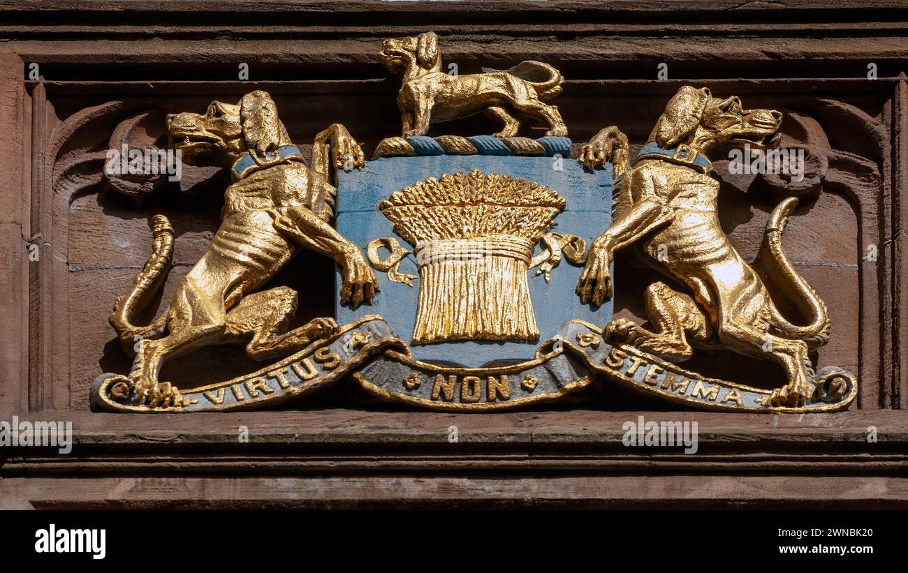 Stemma hi-res stock photography and images - Alamy