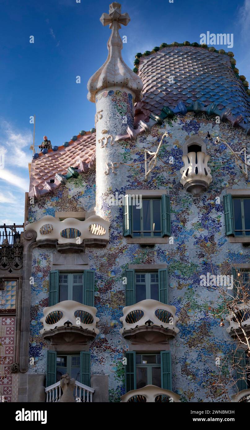 Bulbous root structure hi-res stock photography and images - Alamy