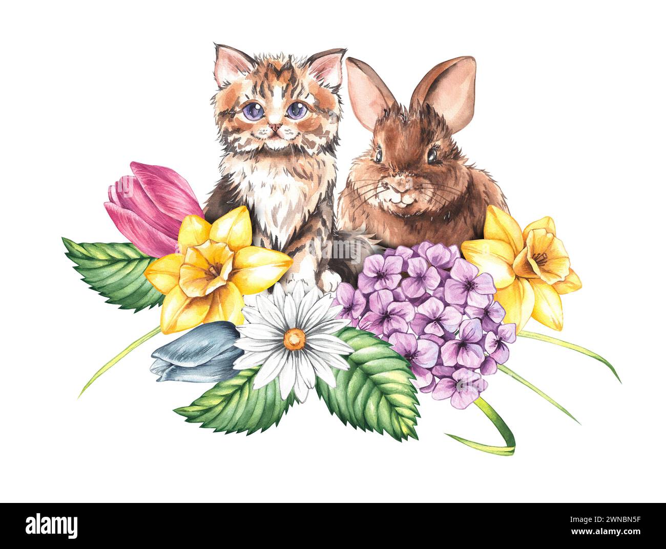 Pets with spring flowers. Watercolor spring cute rabbit and kitten with ...